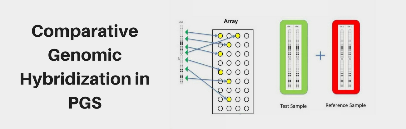 Role of Comparative Genomic Hybridization in PGS