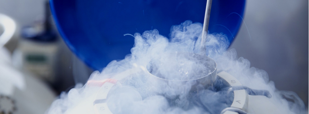 Slow freezing versus Vitrification